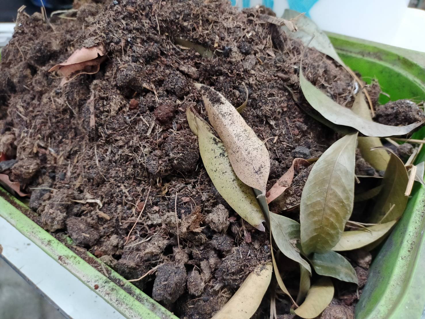 Composting for Every Home With Scholars of Sustenance (SOS ...